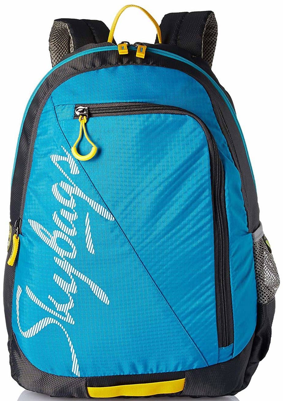 Top 20 Backpack Brands In India Best Design Idea